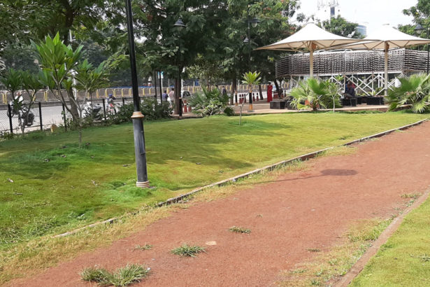 Linear Garden – Green Space Alliance | Urban designers | Planners ...