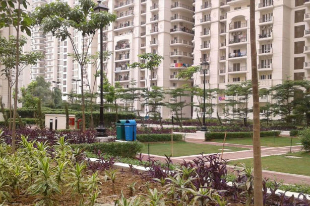 DLF Capital Green – Green Space Alliance | Urban designers | Planners ...